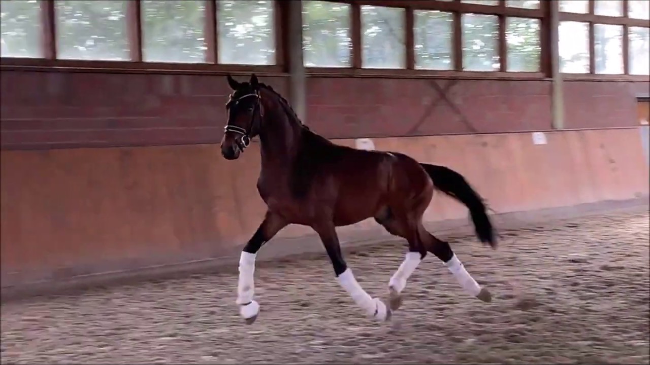 www.stall-rode.de - YouTube
