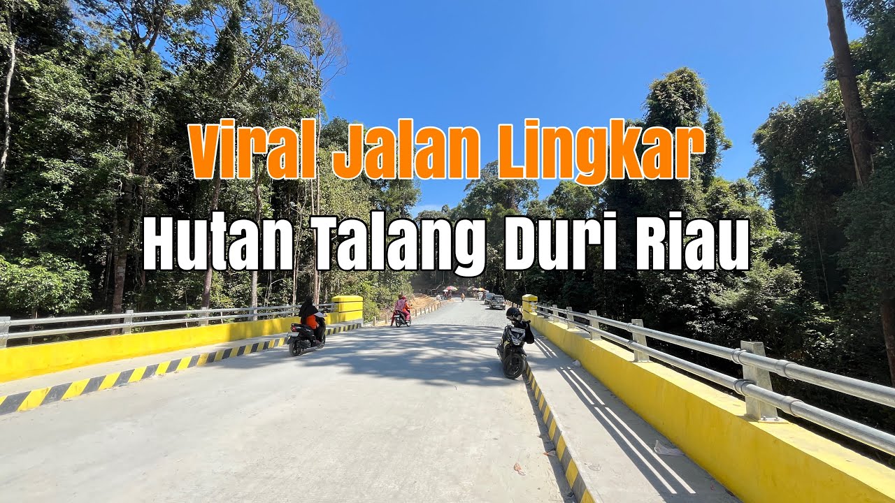 Viral Jalan Lingkar Hutan Talang Duri Riau - YouTube