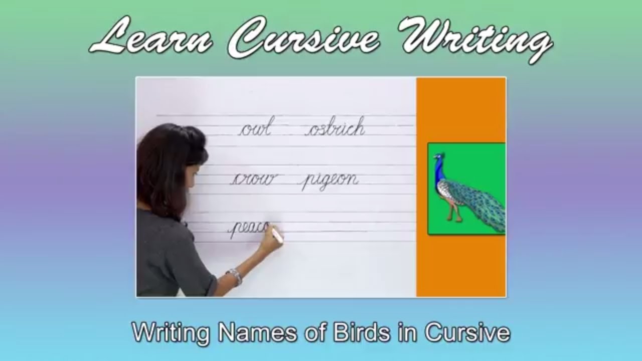 Birds For Babies | Learn Bird Names With Spellings and Pictures ...