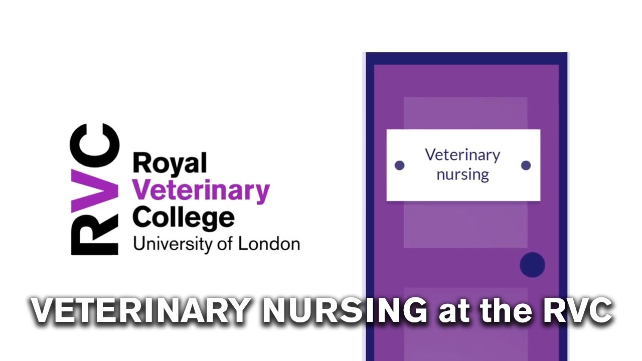 Veterinary Nursing at the RVC - YouTube