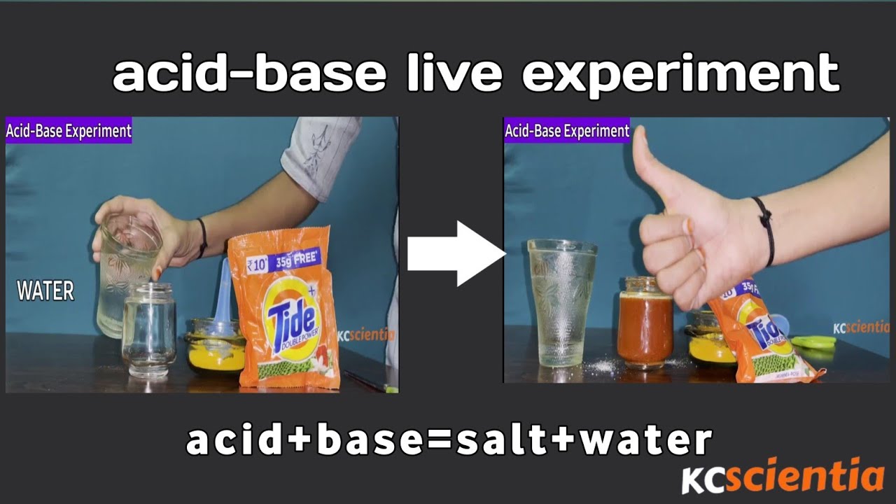 acid - base experiment | neutralization | acids and bases | KCscientia - YouTube