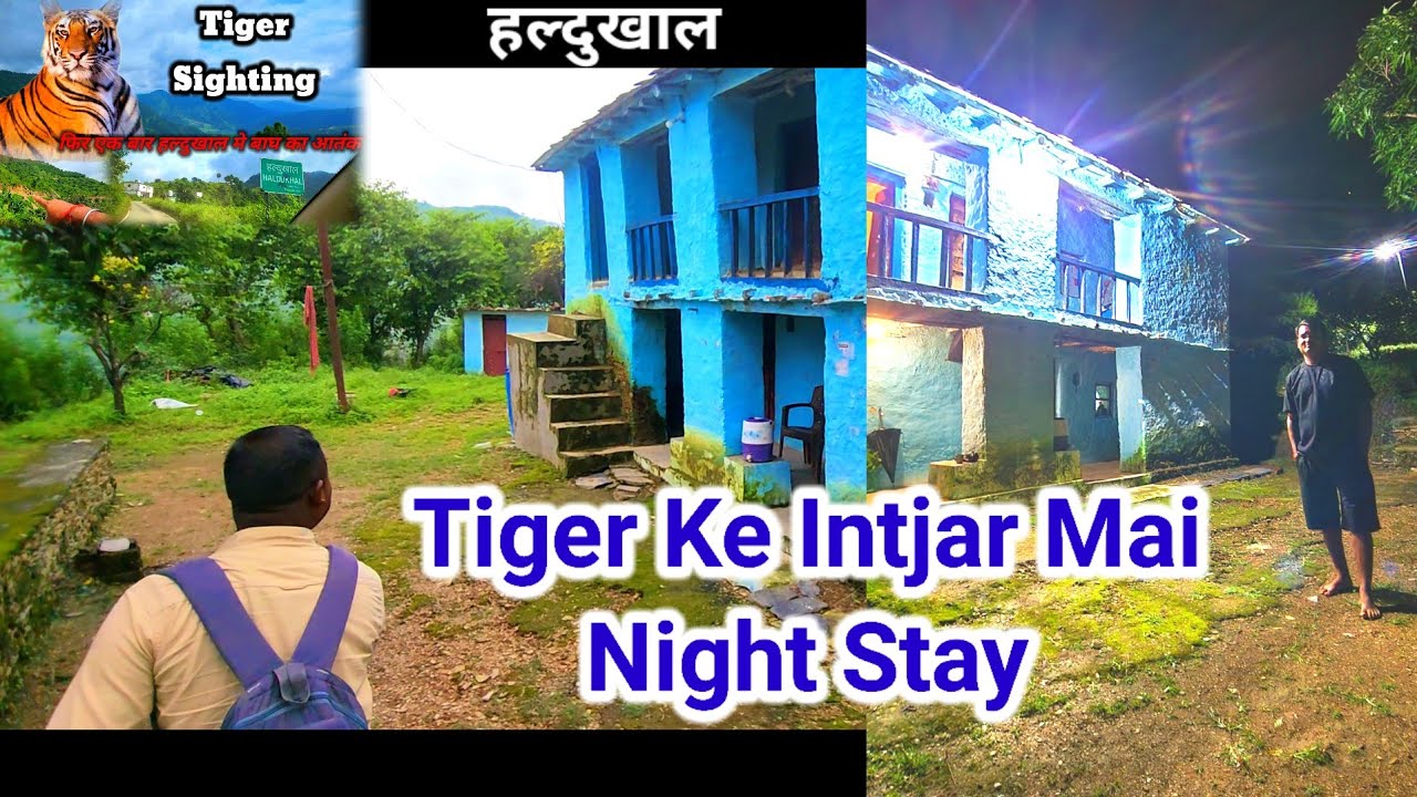 Tiger 🐅 ke Intjar Mai Night Stay in Haldukhal - YouTube