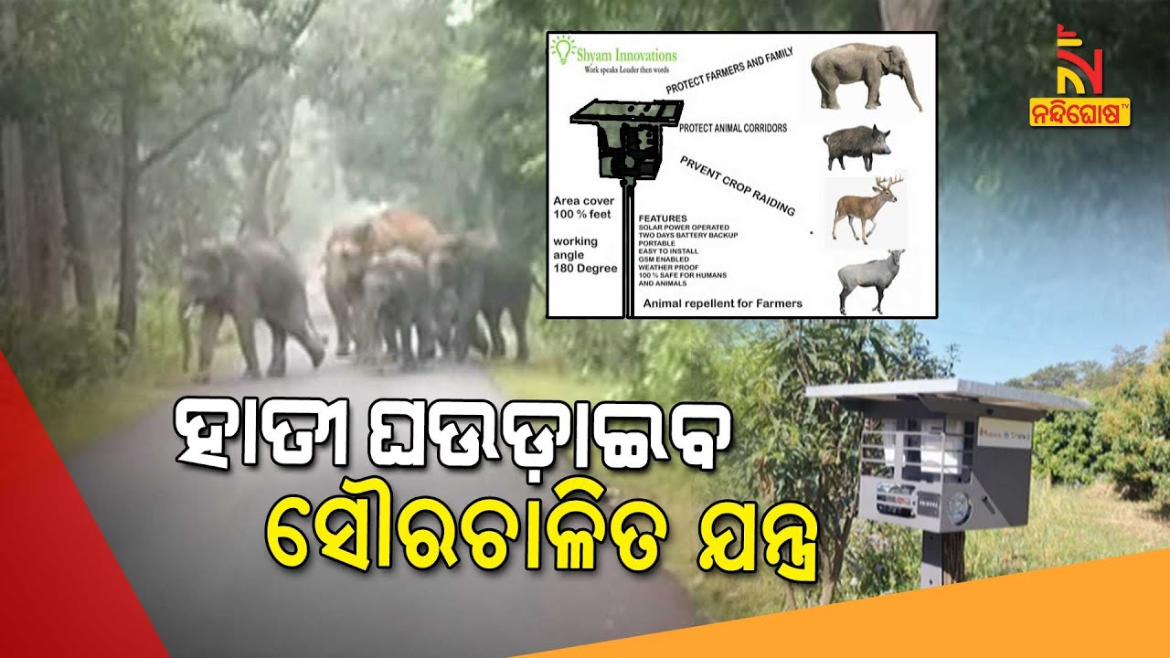 Odisha Forest Dept Started Using Animal Intrusion Detection Repellent ...
