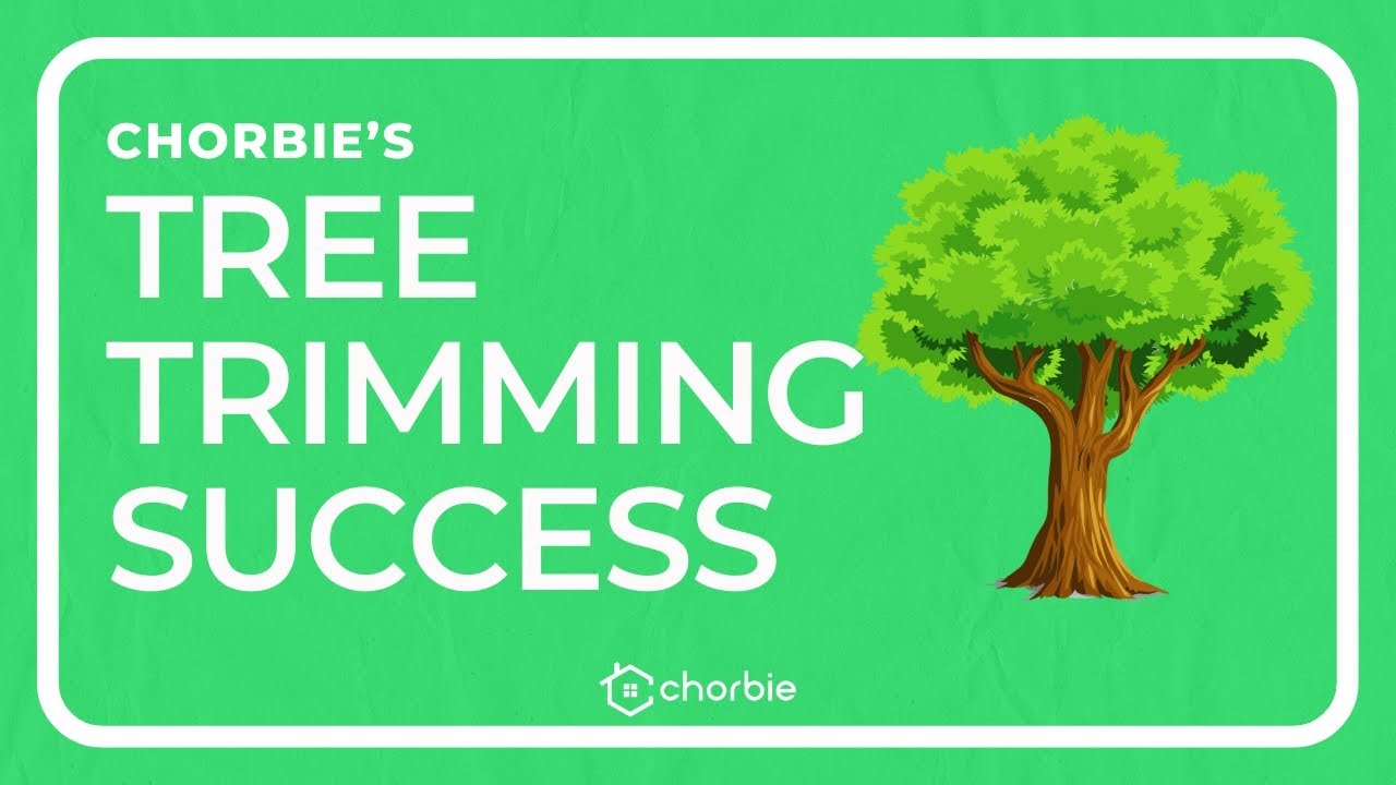 Tree Trimming Success! - YouTube