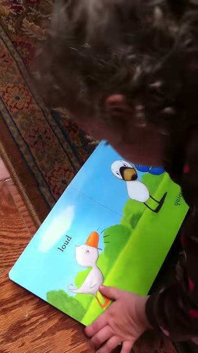 Our little emergent reader-25 months - YouTube
