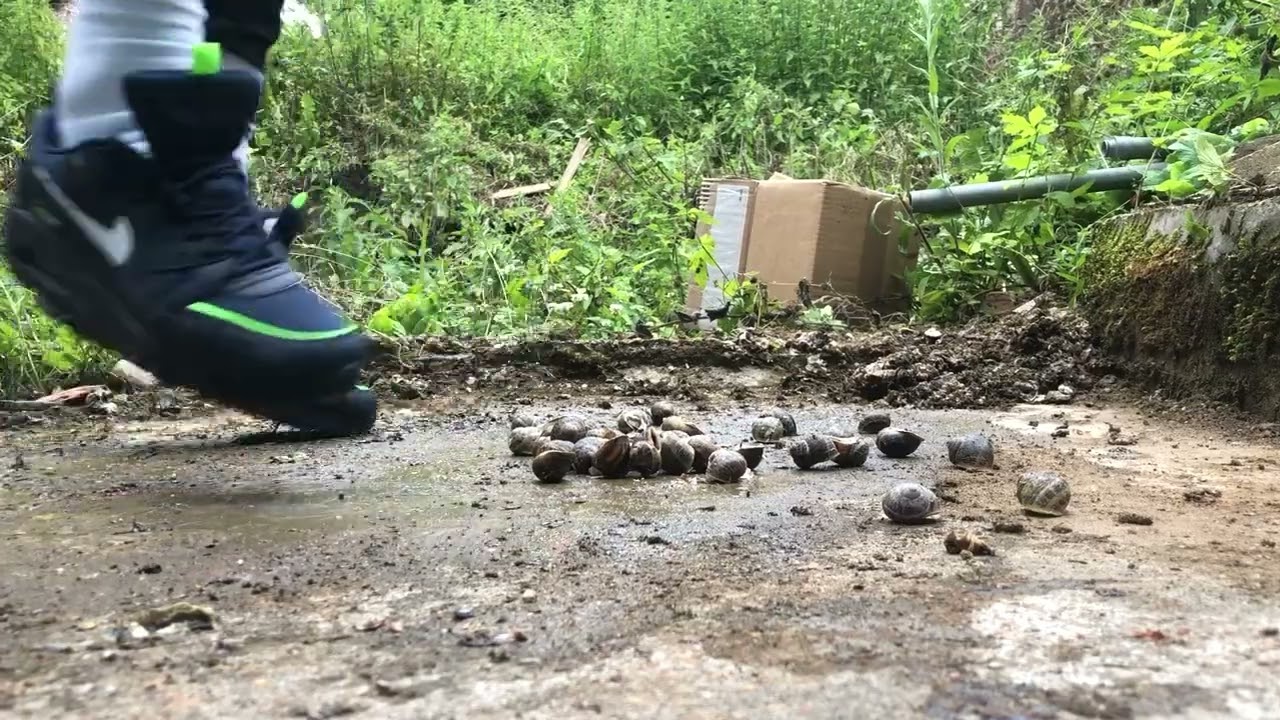 Snail stomp - YouTube