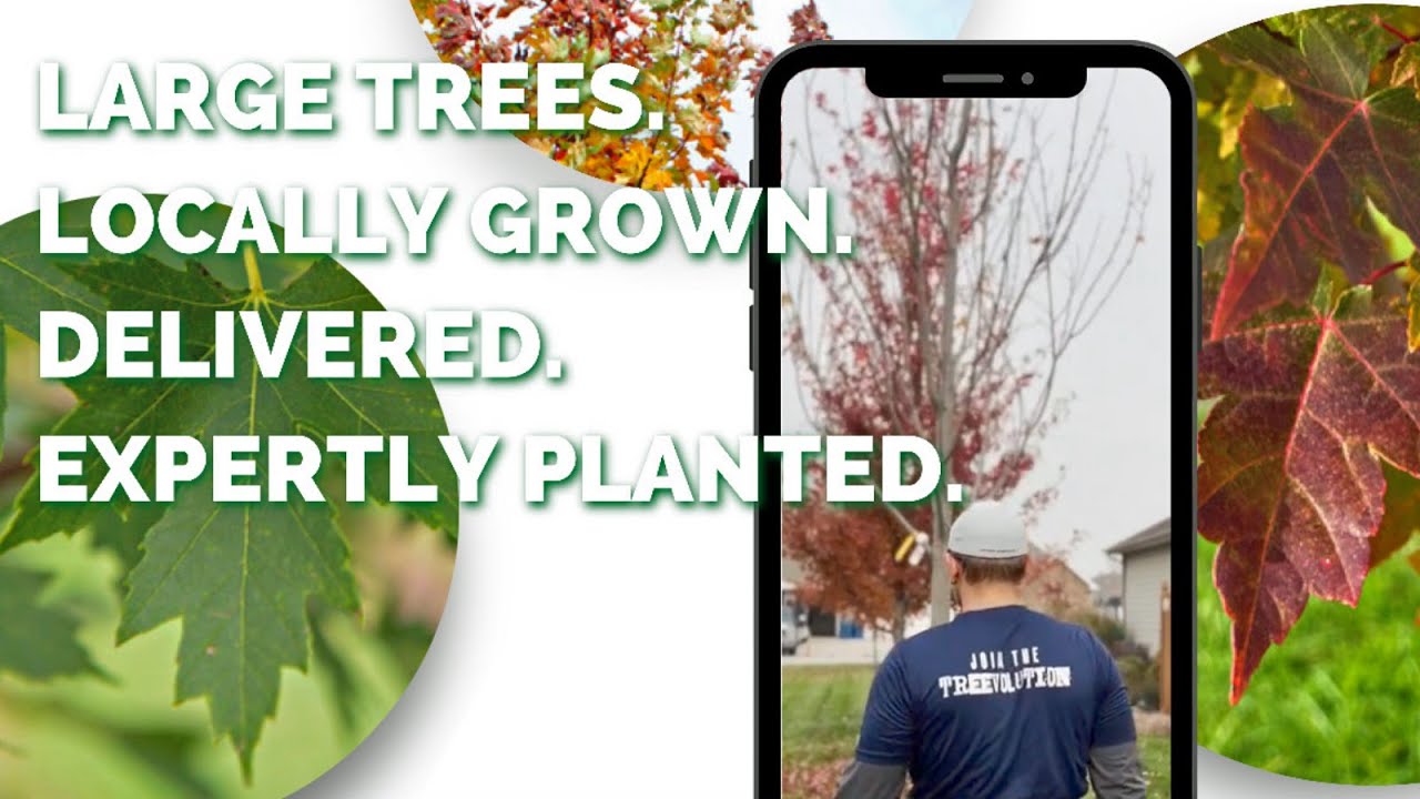 Large Trees. Locally Grown. Delivered. Expertly Planted. - YouTube