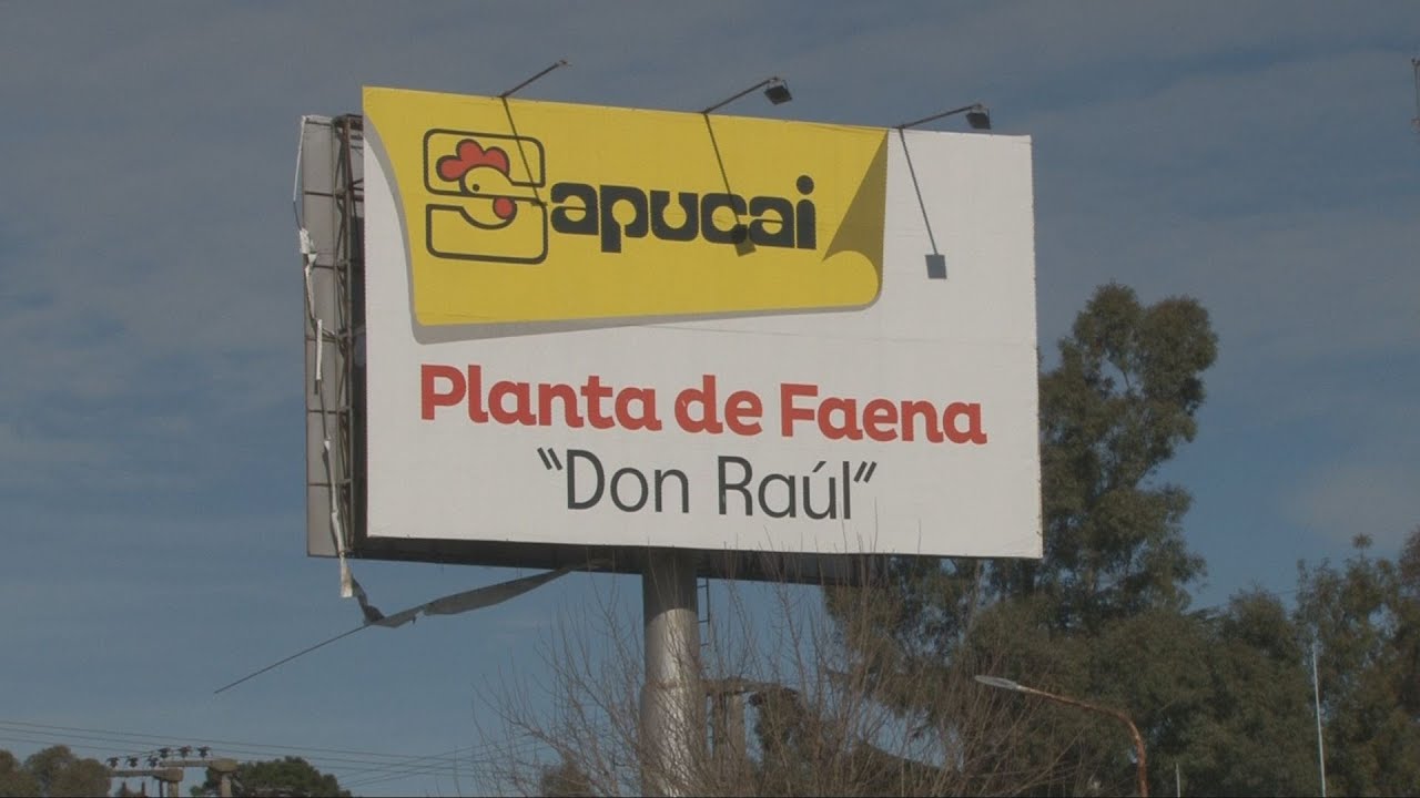 Planta de Faena Miralejos Pollos Sapucai - YouTube