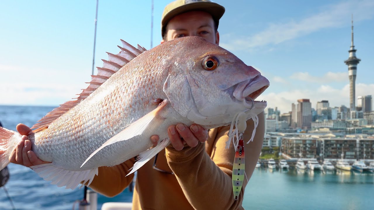 SIDE MISSION: Big fish in city waters! (Auckland NZ) - Tascast Fishing ...