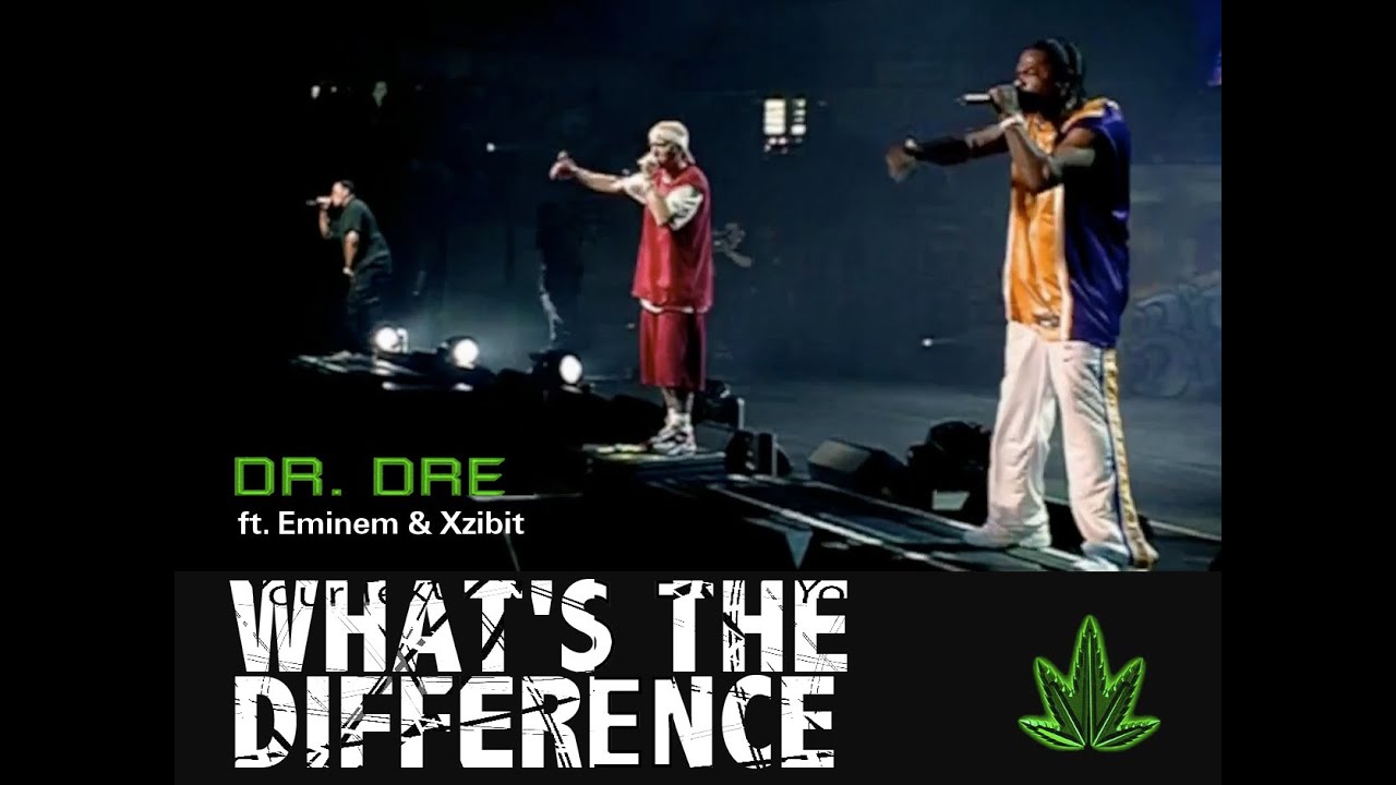 Dr. Dre feat. Xzibit & Eminem - What's The Difference (BIGR Extended ...