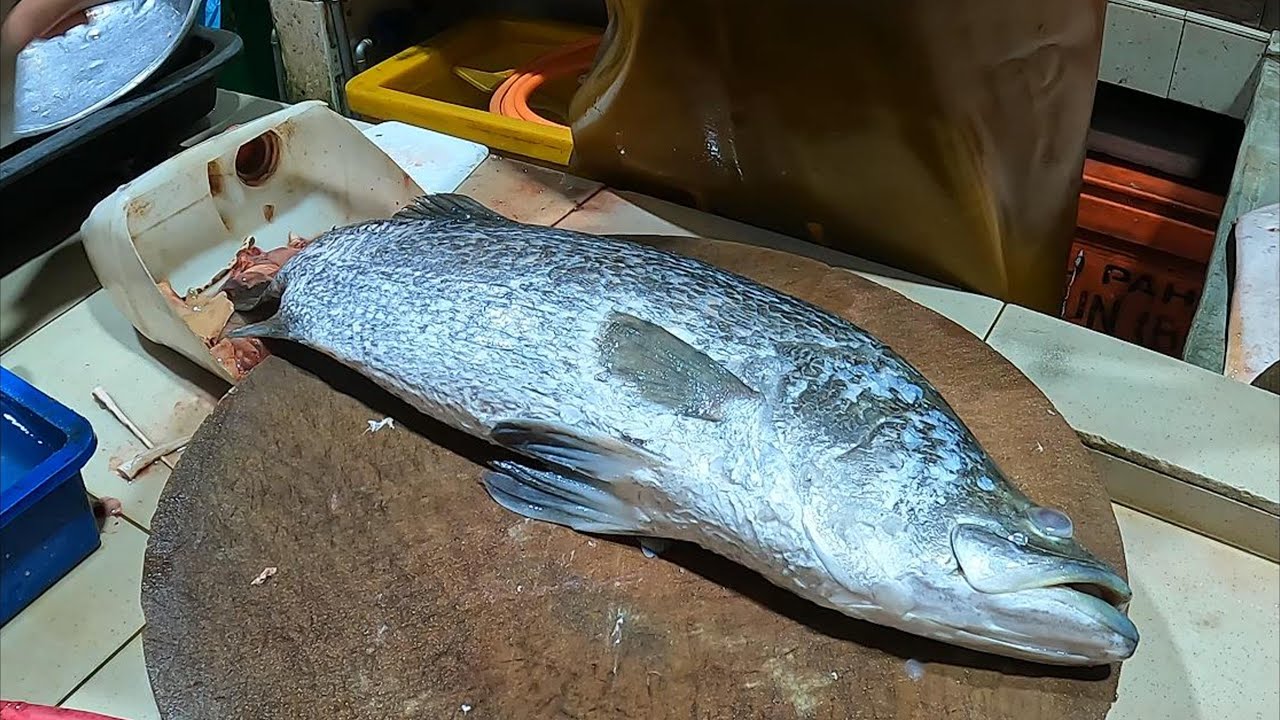 That's how to butterfly fillet Barramundi #fish #seafood #fishcutting # ...