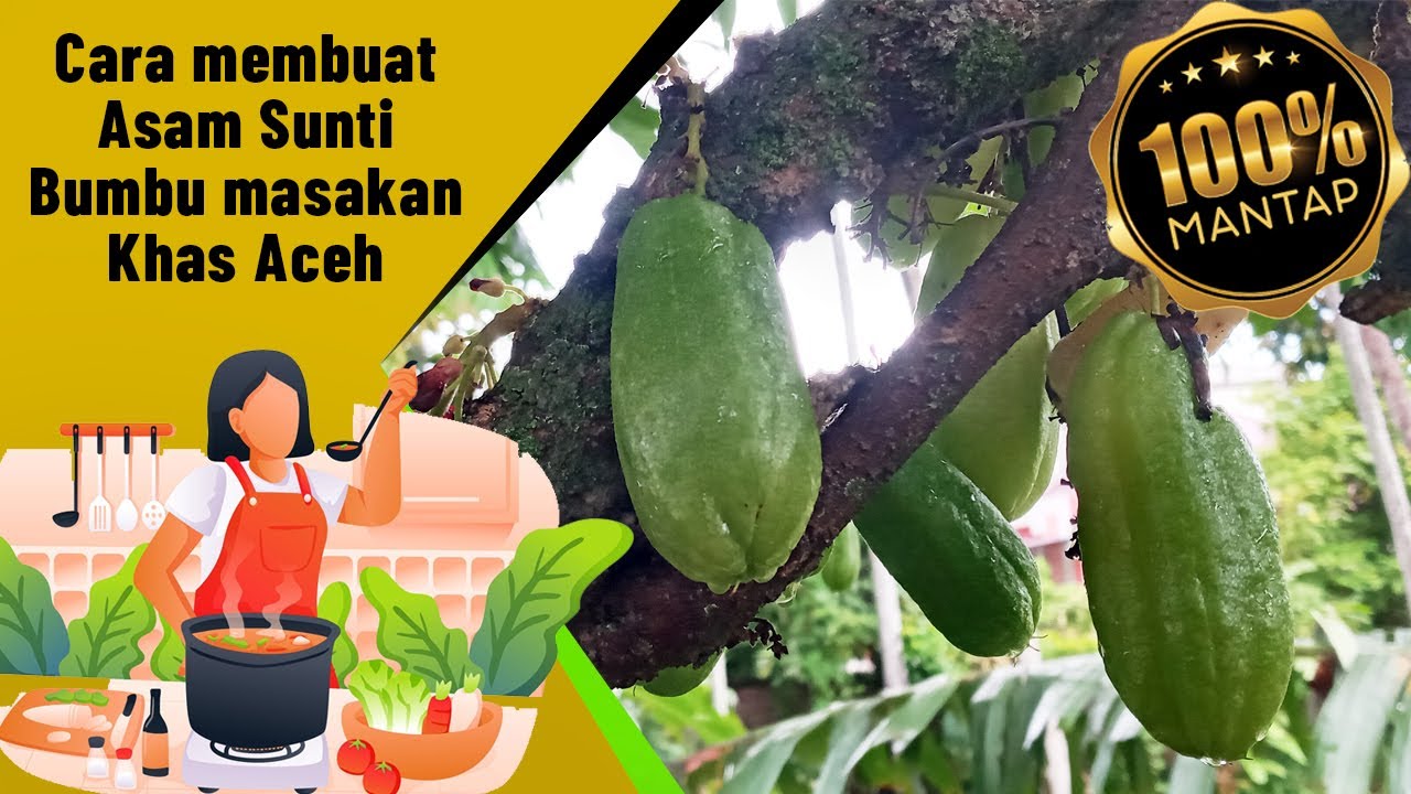 Cara membuat asam sunti, bumbu masakan khas aceh - YouTube
