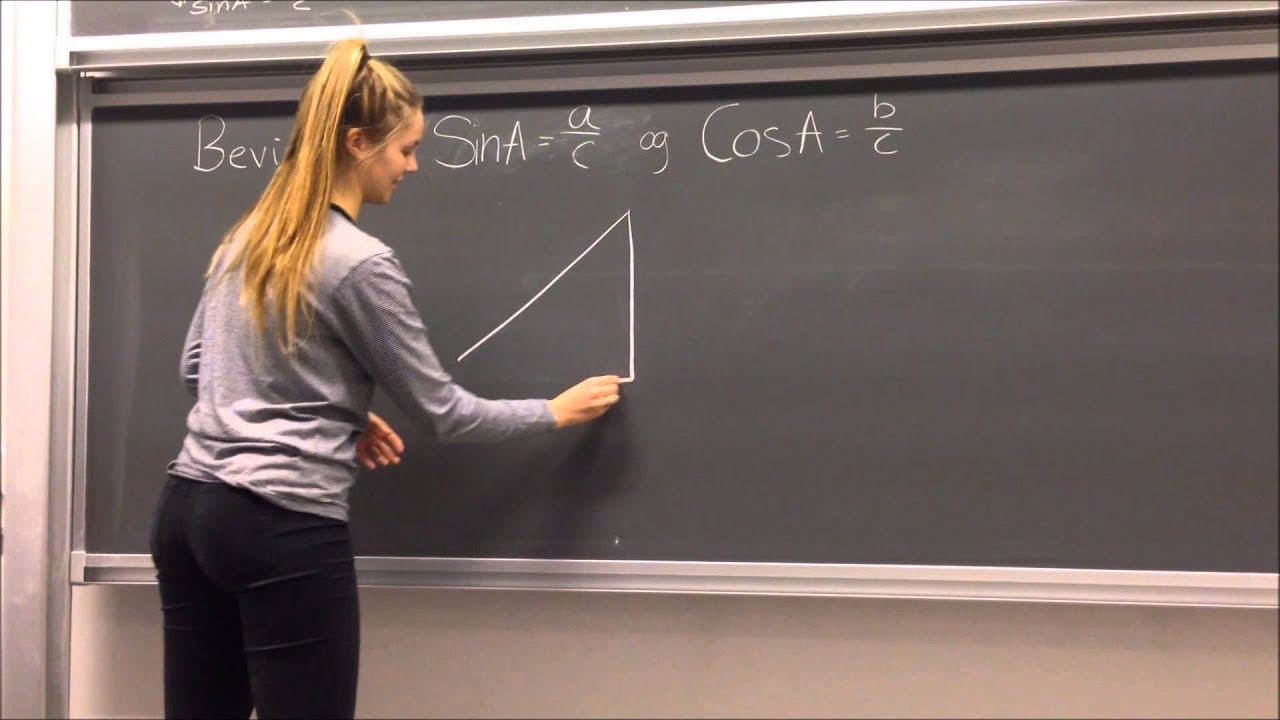 Euklids bevis for pythagoras & bevis for definationen af sin, cos og ...