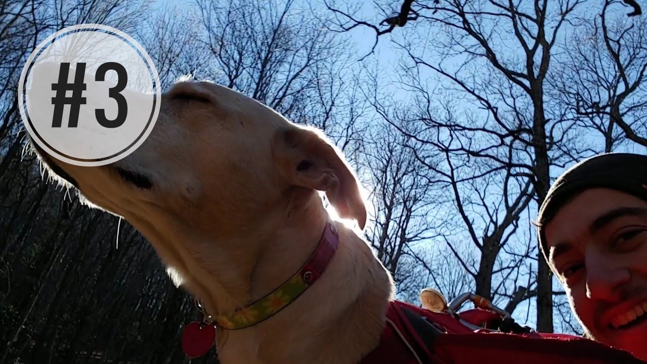 AT Episode 3: It Takes a Licking To Keep on Ticking - YouTube