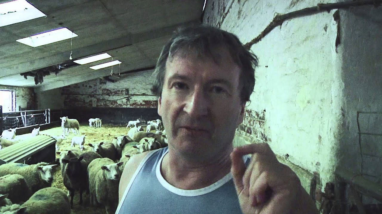 Trash Talk with Deloitte's Pat Loftus - Business Heavyweights 2014 ...