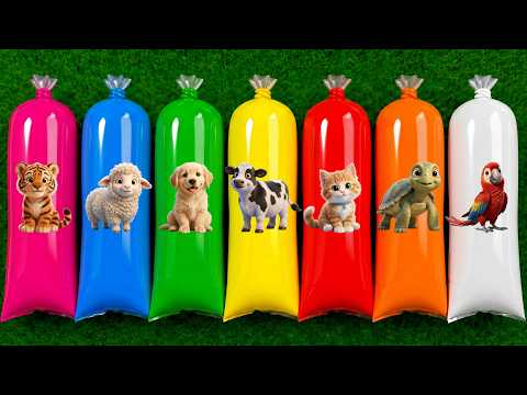 FIND: Cow, Elephant, Sheep, Bird, TRex, Panda, Dog,Goose,Tiger,Lion,Dolphin, Inside colorful plastic