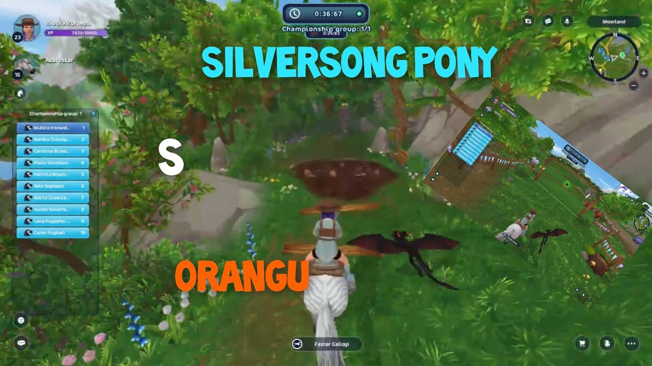 Silversong Pony Championship s Orangu (Star Stable) - YouTube