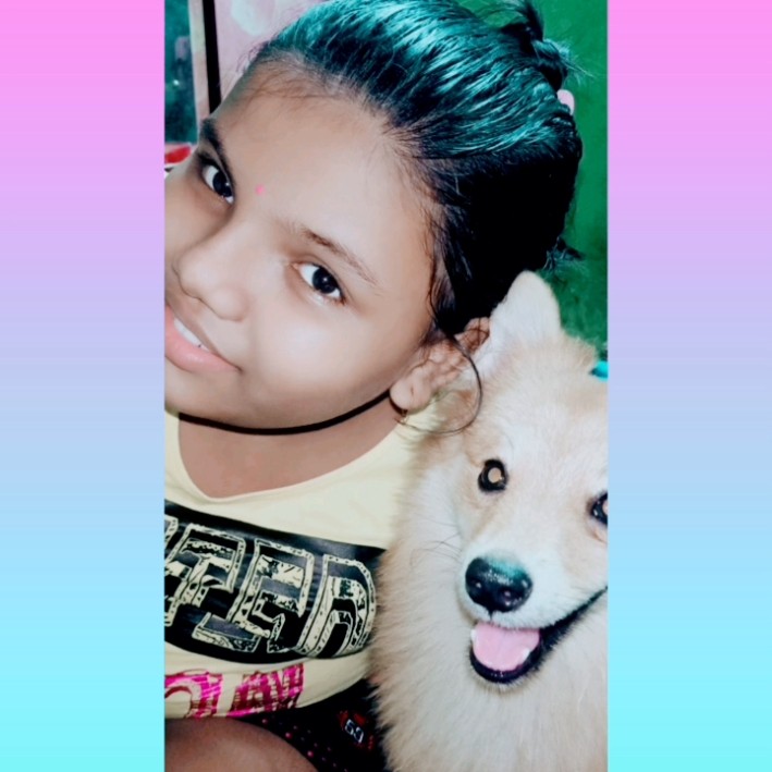 🐕A few moments for Gublu🎀#youtubeshorts #subscribe #trending # ...