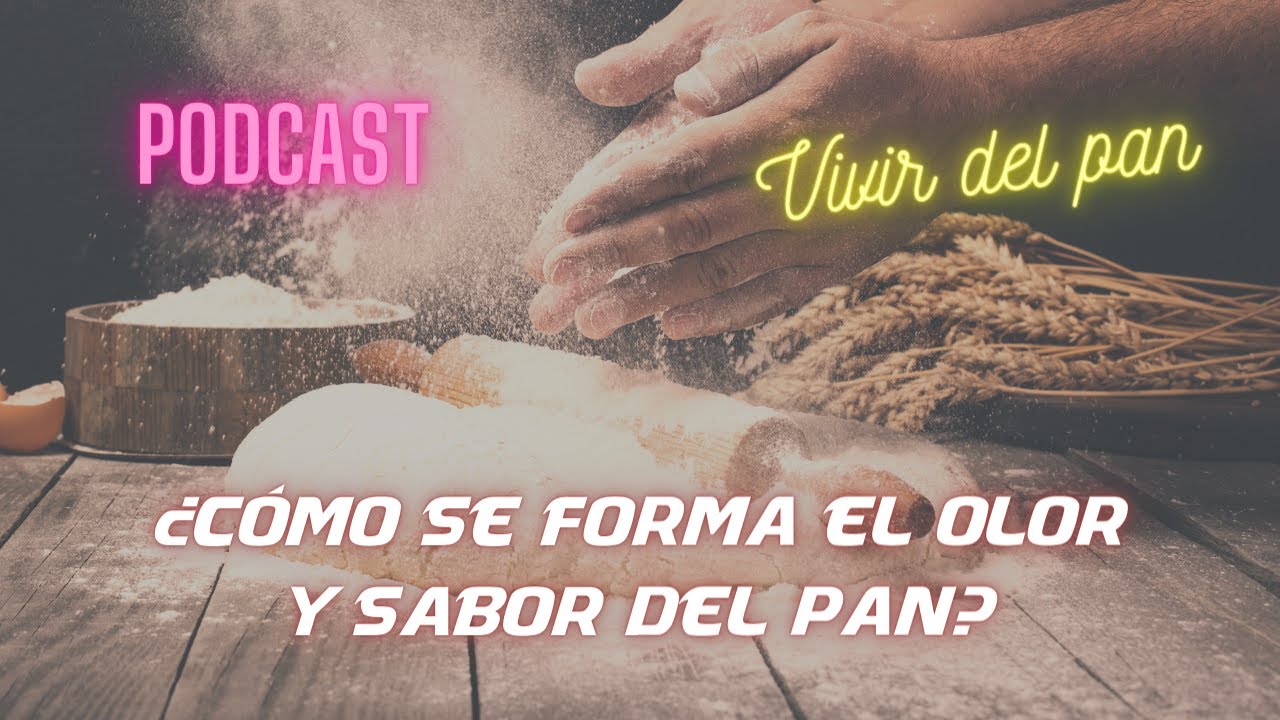 ¿Cómo se forma el olor y sabor del pan? - YouTube