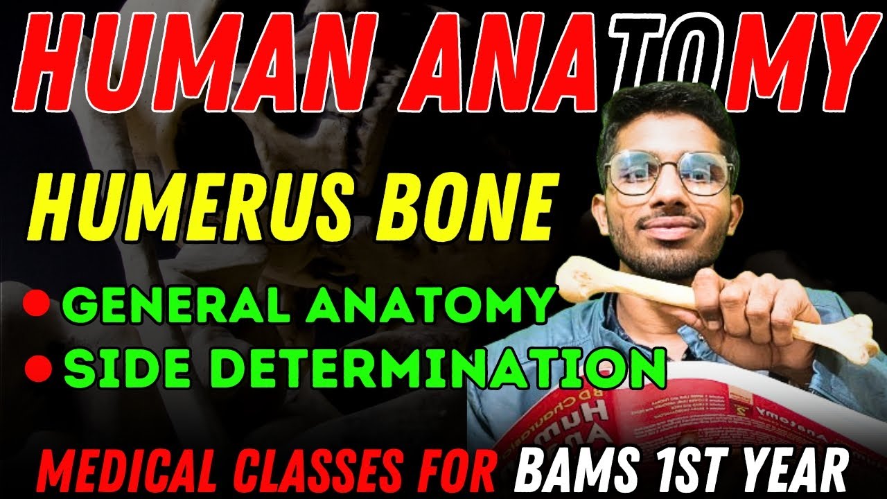 Humerus Bone - Part 1 | General Anatomy & Side Determination | BAMS 1st ...