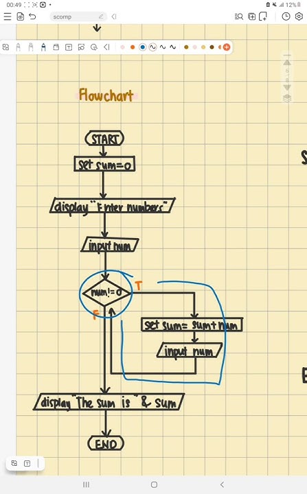 Control Structure-Sentinel Controlled While Repetition - YouTube