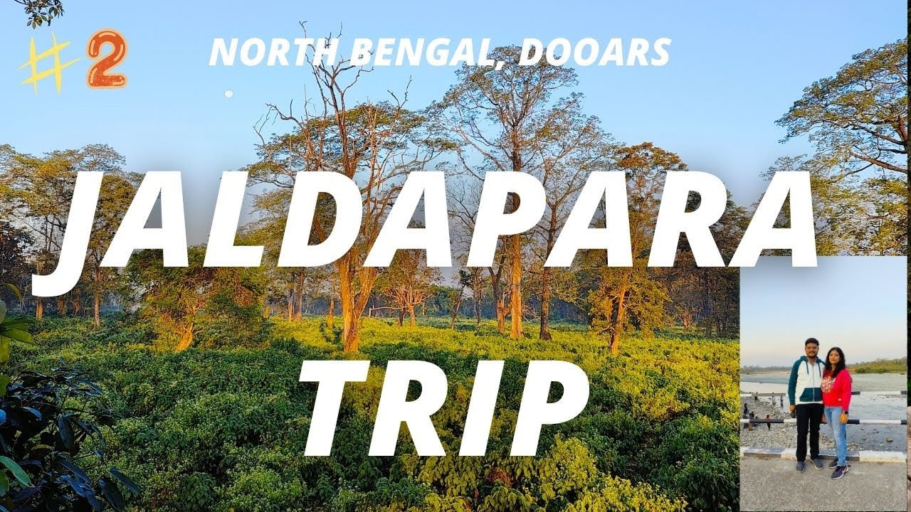 Trip to Jaldapara National Park|| North Bengal, Dooars|| Part 2 Vlog ...