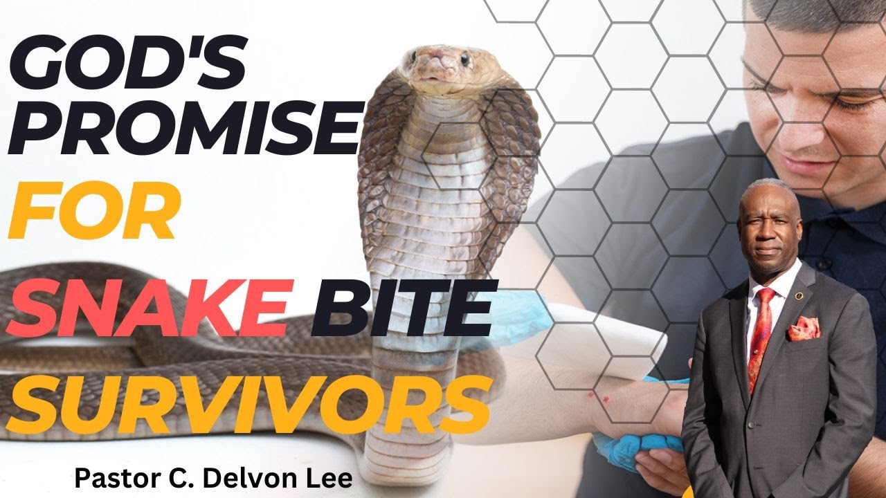 God's Promise For Snake Bite Survivors - Pastor C.Delvon Lee - YouTube