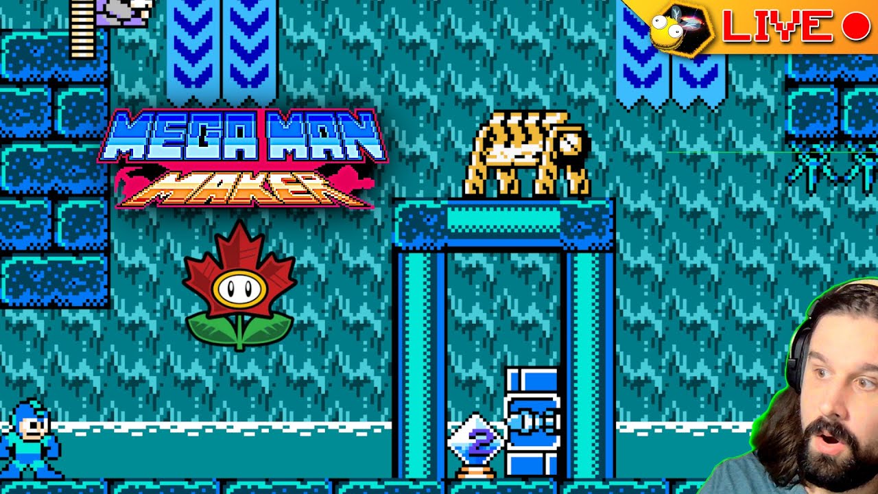 Mitch Flower Power's Kaizo Mega Man Level - YouTube