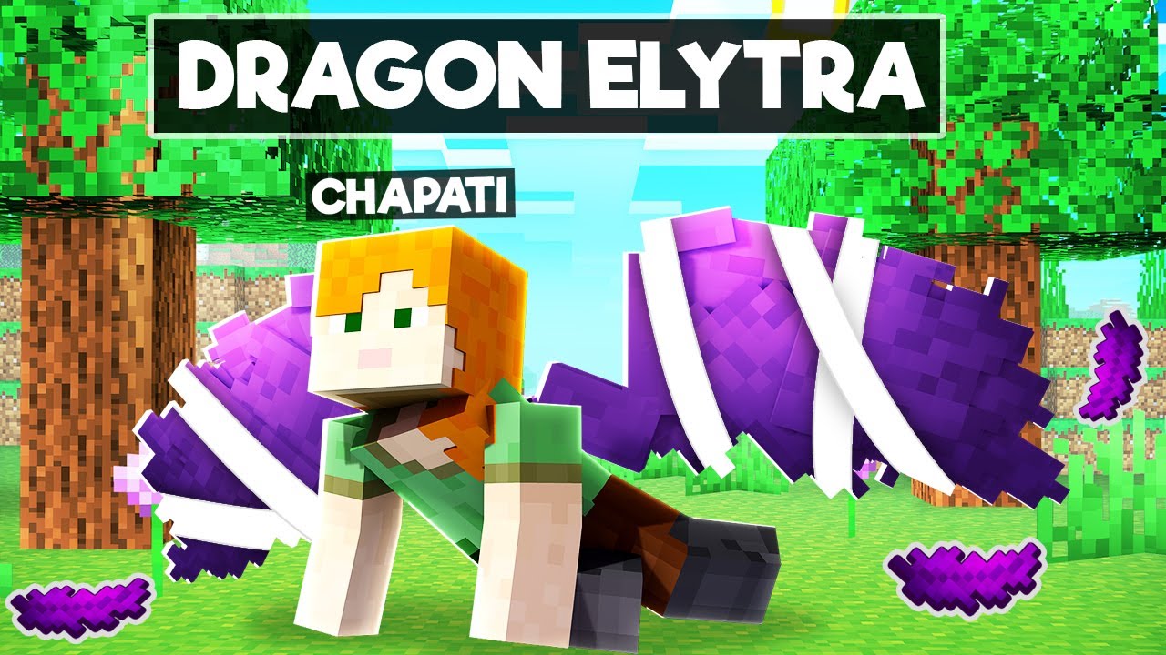 LOGGY FOUND DRAGON ELYTRA | MINECRAFT - YouTube
