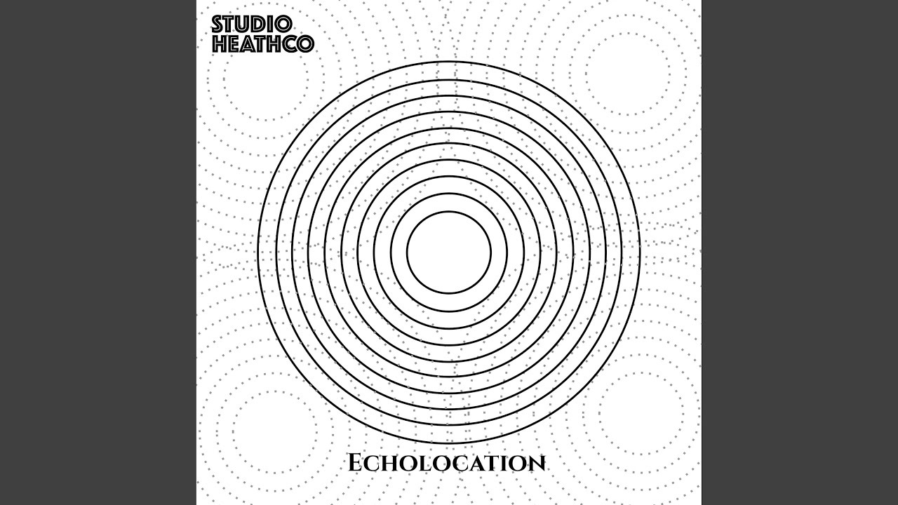 Echolocation - YouTube
