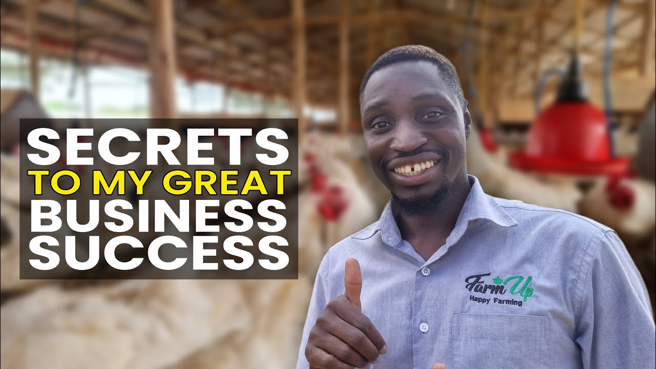 The TOP 5 SECRETS for my GREAT SUCCESS as a Farming Businessman - YouTube