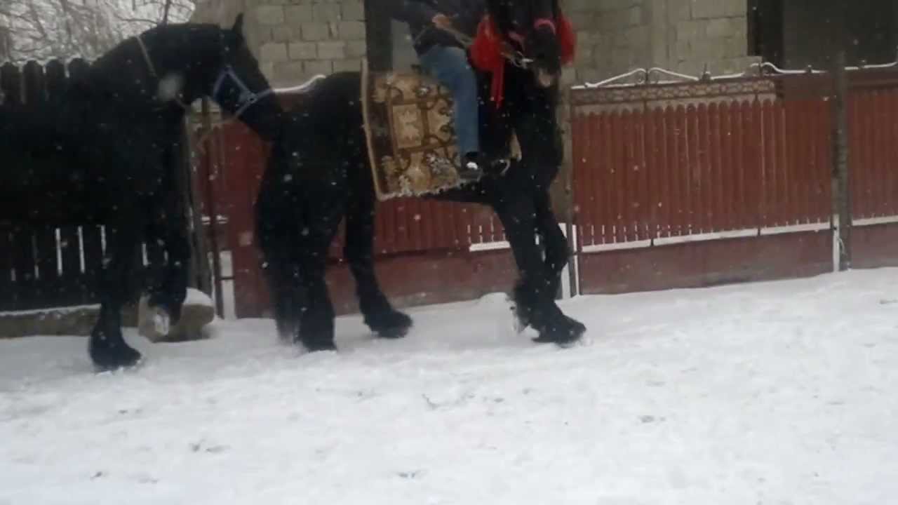 Cai Frizieni - YouTube