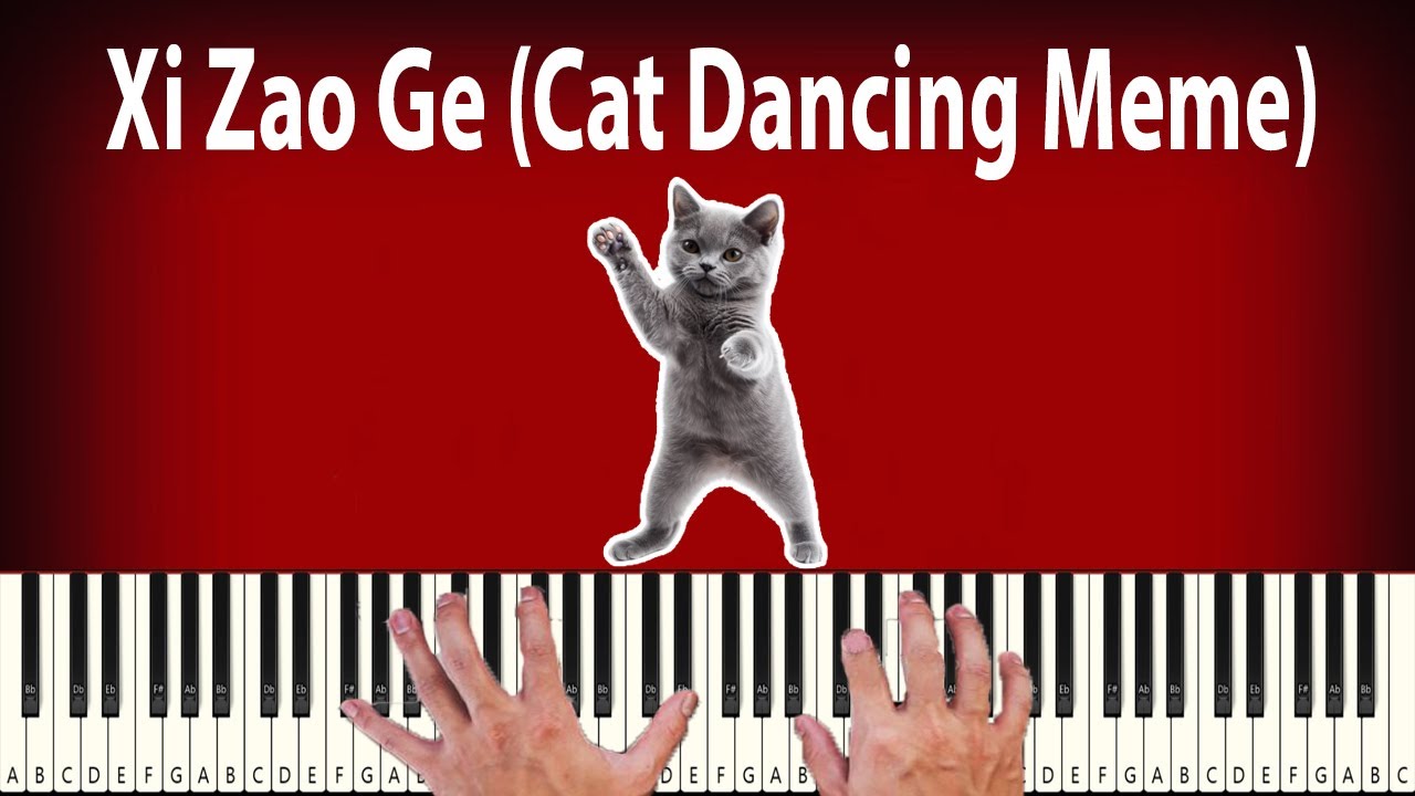 Xi Zao Ge (Cat Dancing Meme) - PIANO TUTORIAL - YouTube