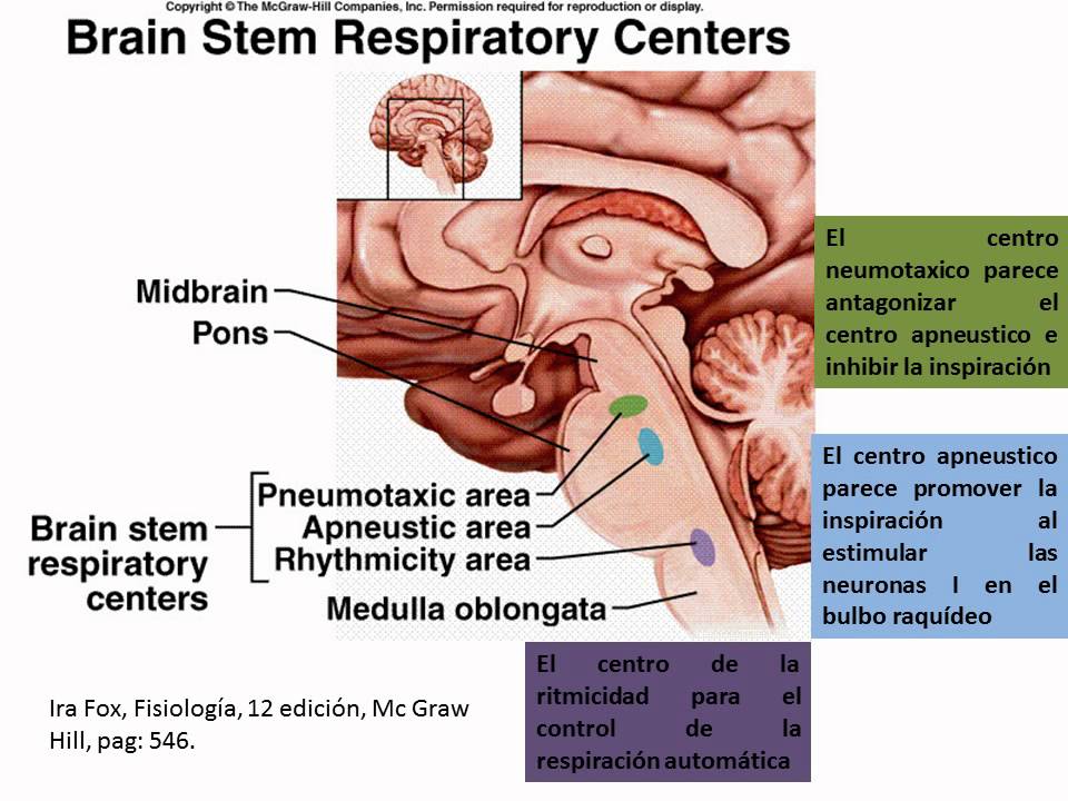 control de la respiracion - YouTube