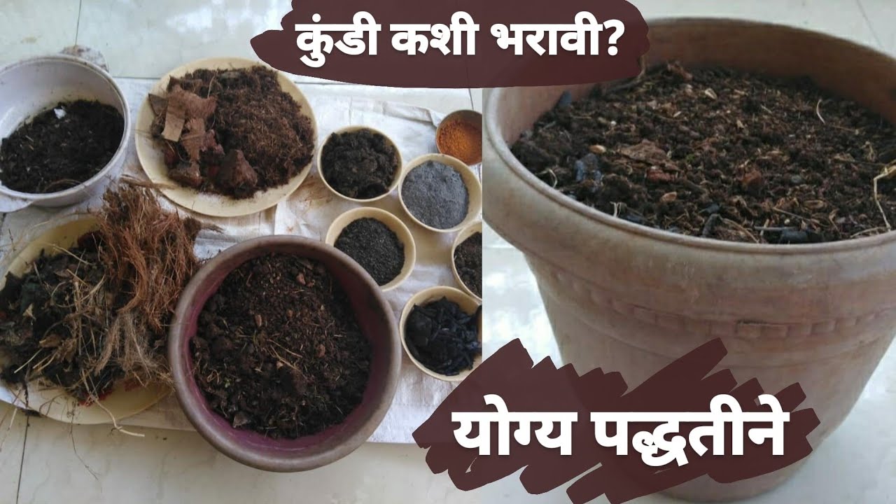 कुंडी कशी भरावी? | योग्य पद्धत | Kundi Kashi bharavi? | soil mix for ...