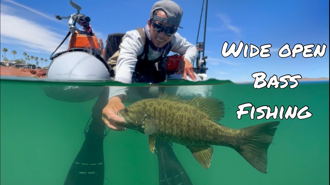 One day turnaround WIDE OPEN bass fishing in the Desert - YouTube