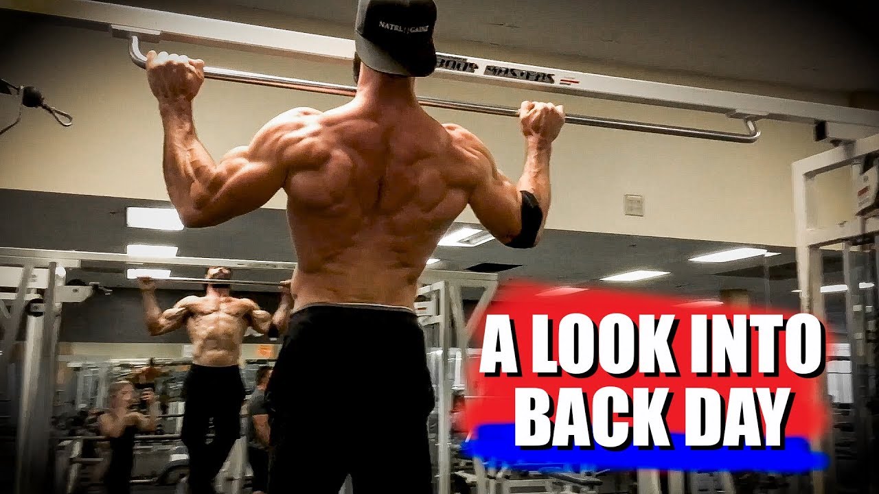 BACK WORKOUT - few exercises for a great back day - YouTube