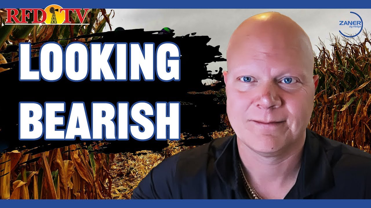 Grains Looking Bearish: Ted Seifried on RFD-TV - YouTube