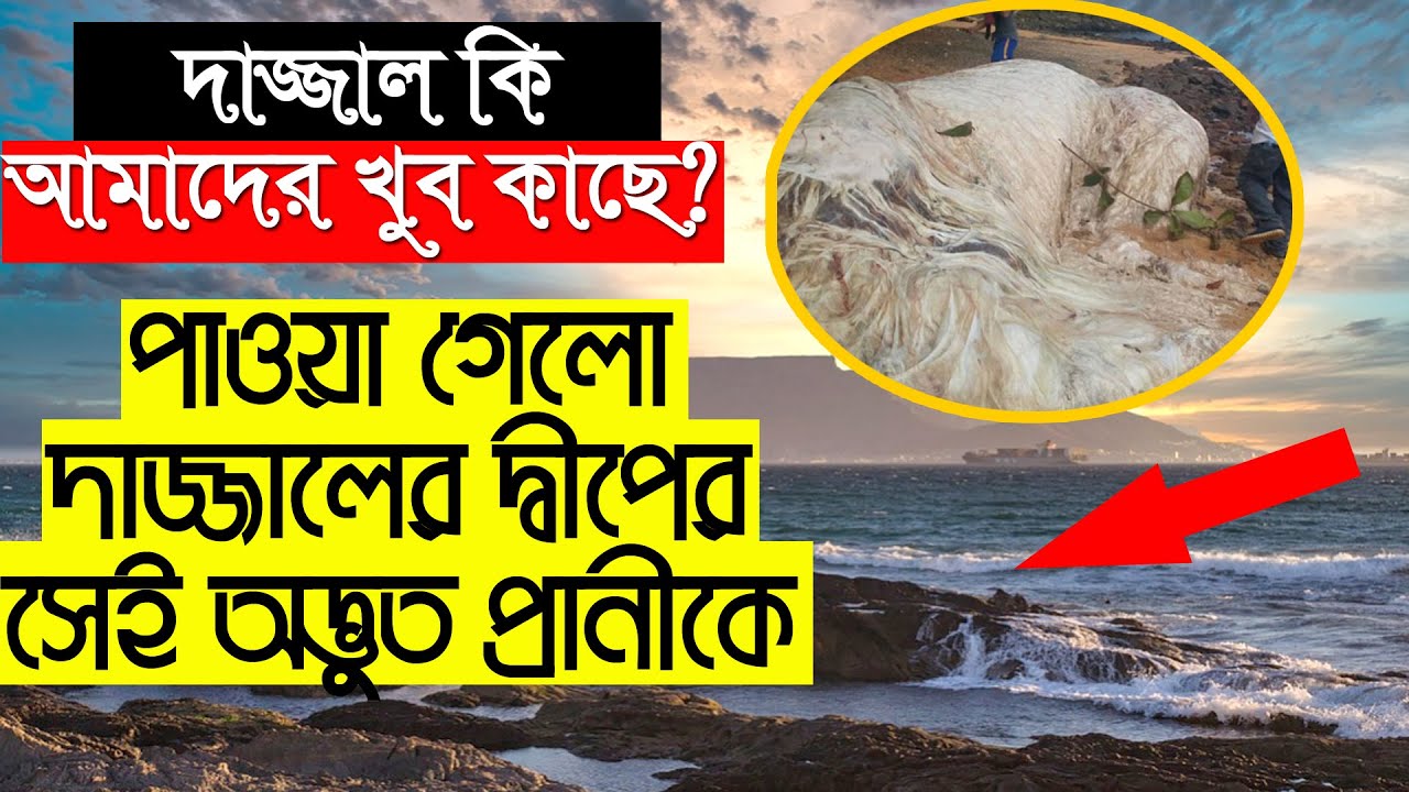 পাওয়া গেলো (dazzal) দাজ্জালের দ্বীপের সেই অদ্ভুত প্রানীকে - Islamic ...