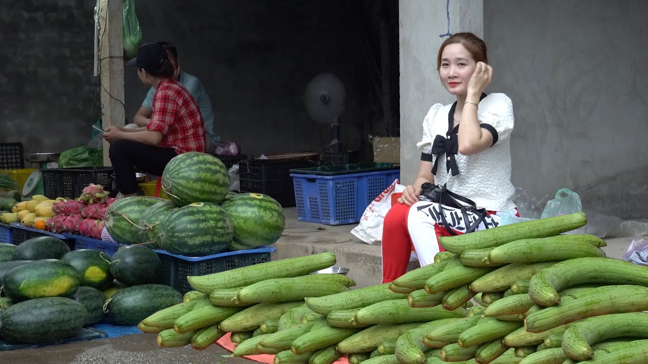 Harvesting luffa to sell at the market - a girl's simple but happy life ...