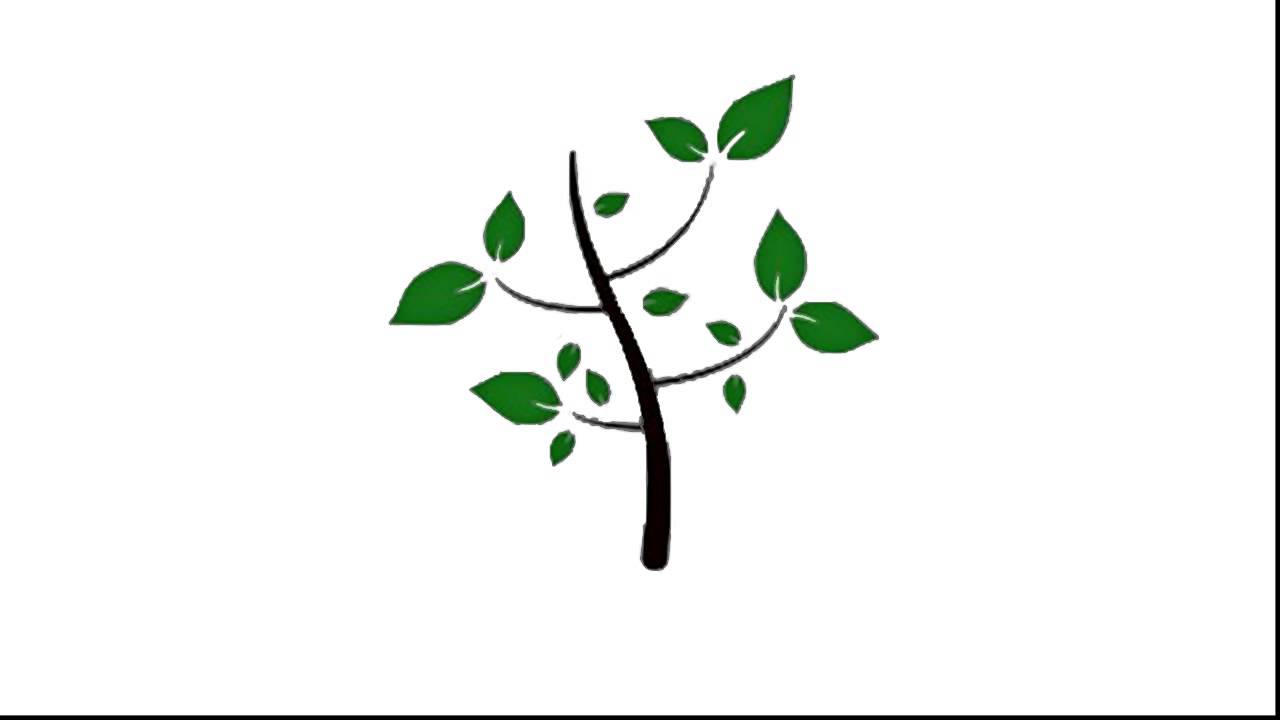 growing tree with help of after effects - YouTube
