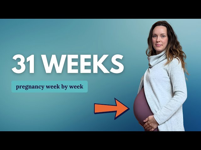 48 Weeks Pregnant Is How Many Months