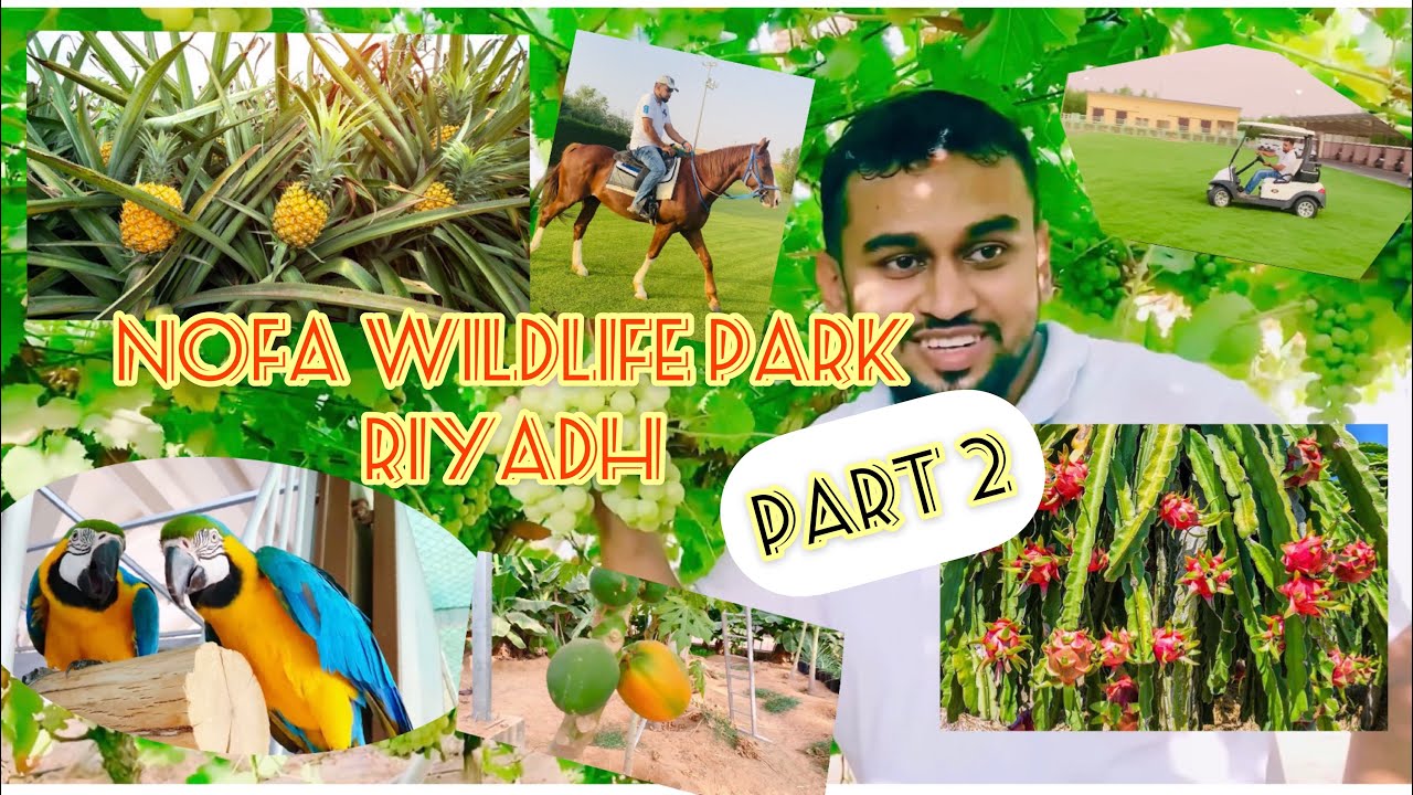Nofa Park PART 2 / Grapes farm in Riyadh / Dragon fruit farm in Riyadh ...