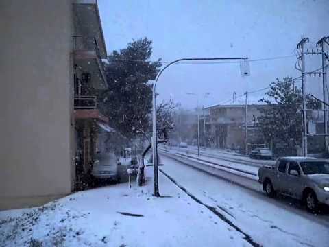 ΑΛΙΑΡΤΟΣ ΜΕ ΠΟΛΛΑ ΧΙΟΝΙΑ - YouTube