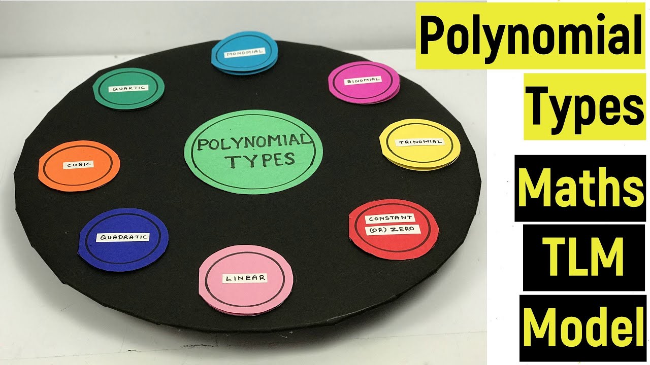 Polynomial Types Maths TLM Model DIY B Ed Educational Model Types