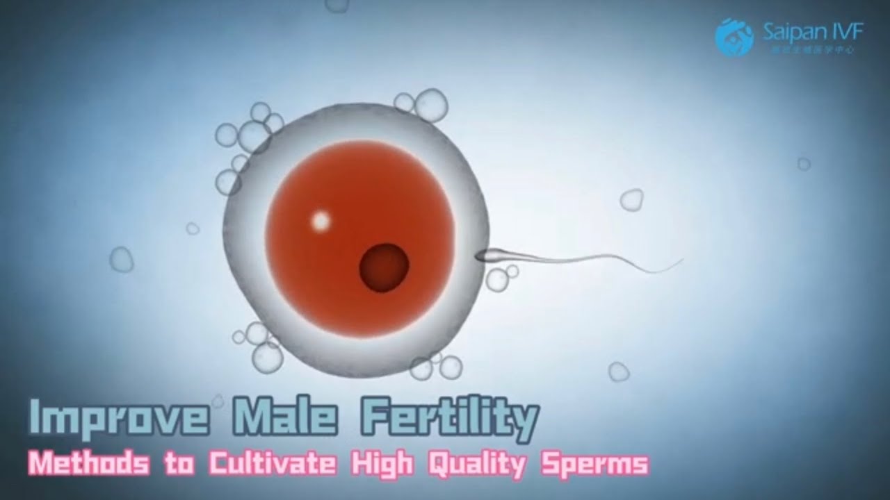 Improve Male Fertility: Methods to Cultivate High Quality Sperms - YouTube
