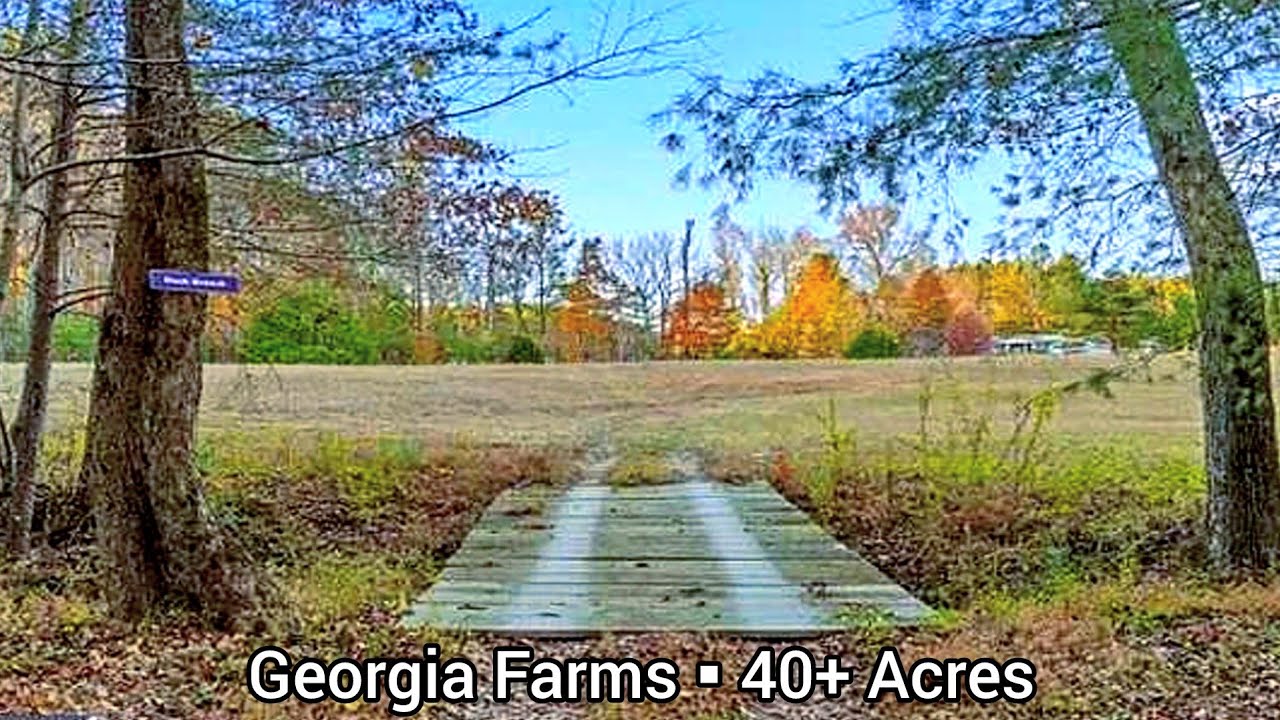 Georgia Farms For Sale | 40+ Acres | 2-Creeks | Georgia Land For Sale ...