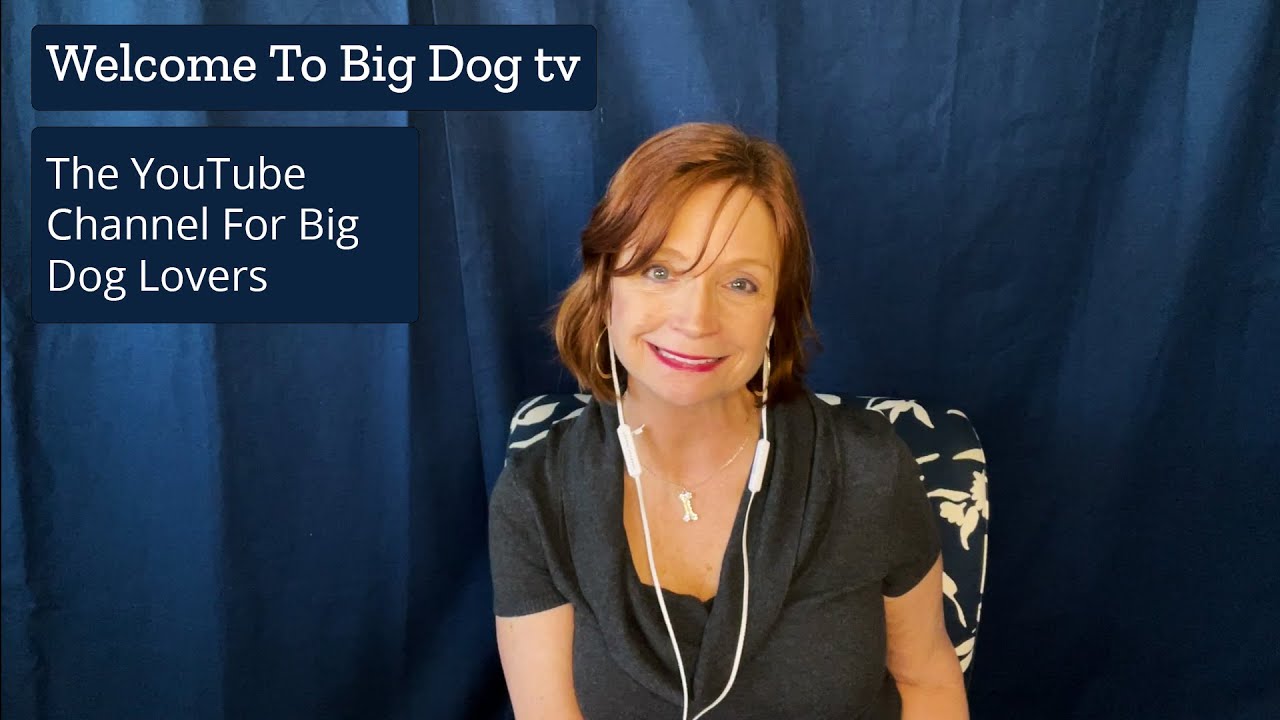 Big Dog tv Introduction - YouTube