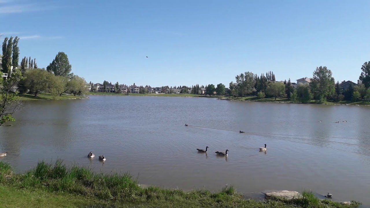 Beautiful lake of Calgary , Alberta, Canada - YouTube
