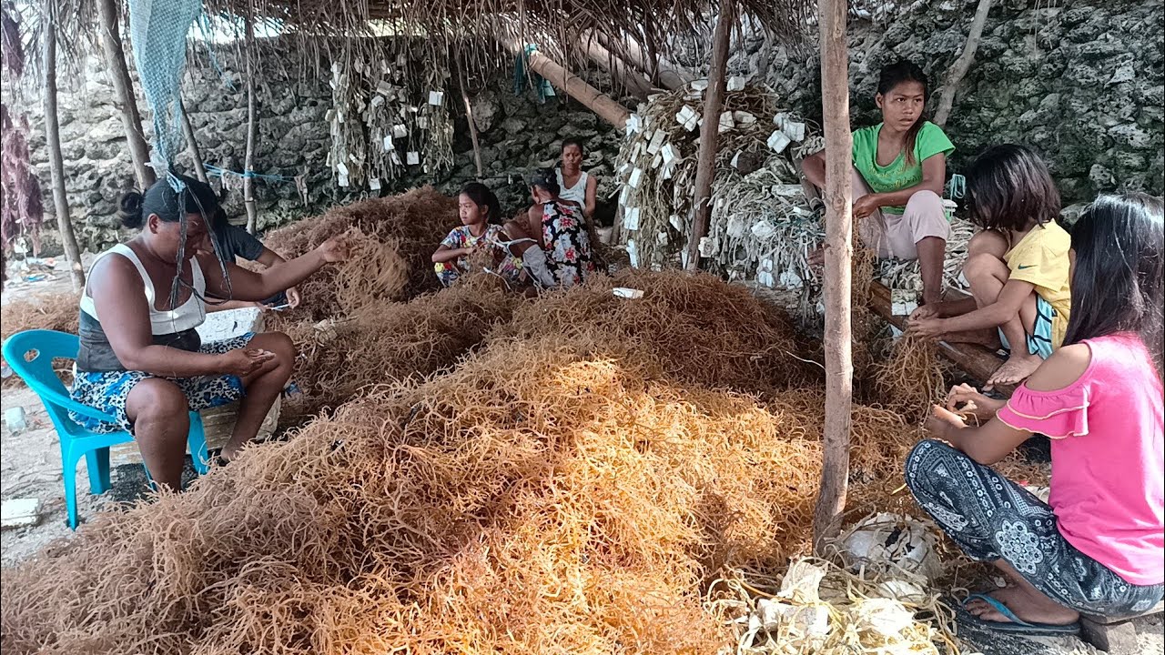 ISA SA PANGUNAHING HANAP-BUHAY NG MGA TAGA MANIGUIN ISLAND, CULASI ...